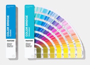 Process Color vs Spot Color: The Ultimate Guide in 2026
